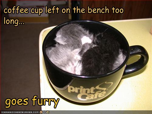 Xanadu Community :: Board: Fluffy Thread III