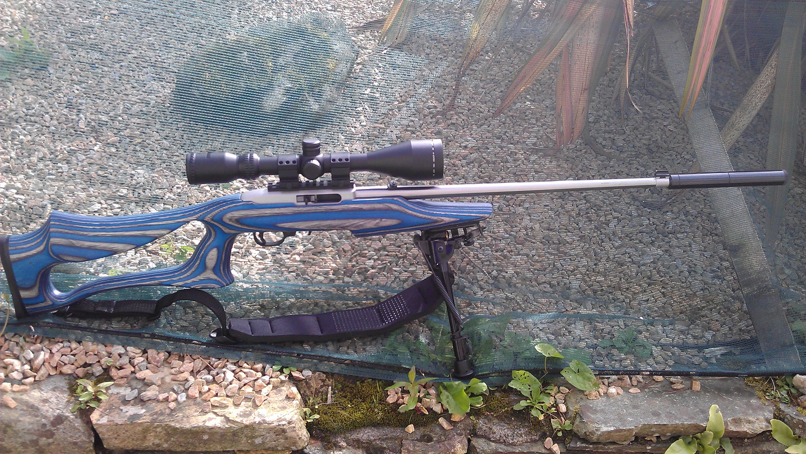 Happy 10/22 day, post your 10/22s! : r/guns